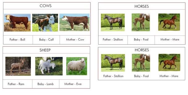Farm Animal Families - My Montessori Moments